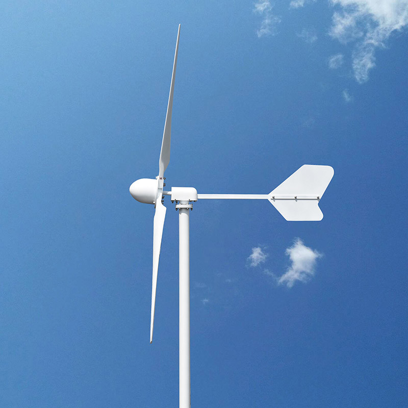 1000W Horizontal Wind Turbine Generator 24V 48V Renewable Energy Wind ...