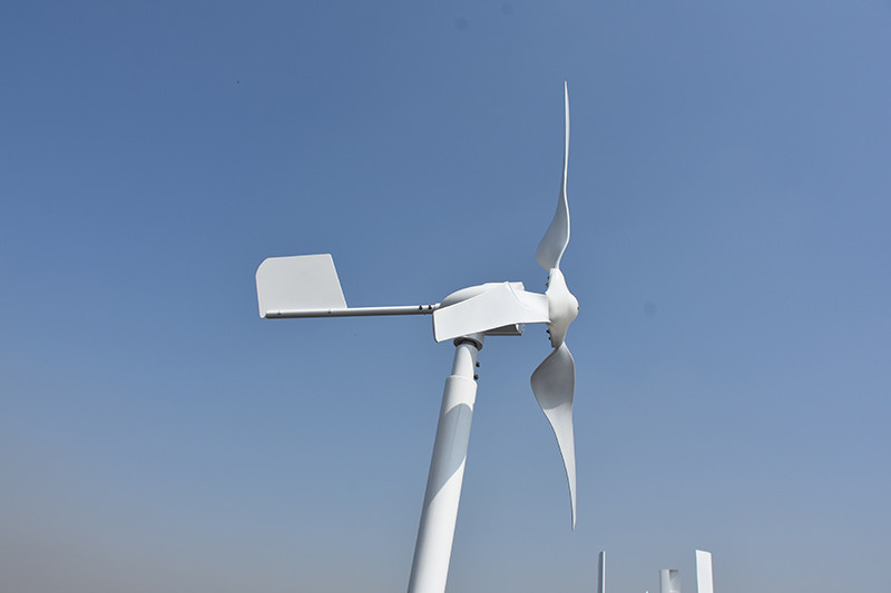 Three Phase Small Horizontal Wind Turbine 24 Volt 48 Volt 800W Horizontal Wind Mill